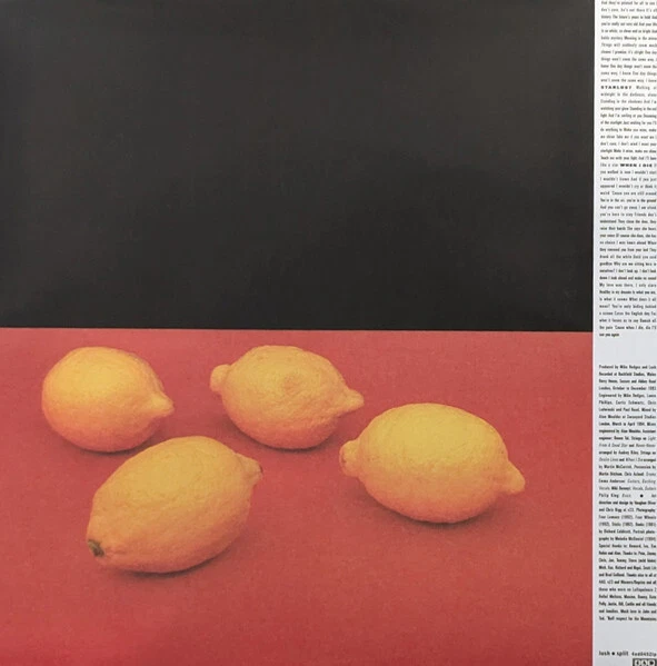 LUSH ~ SPLIT ~ 2023 UK REMASTERED 4AD record label 12-track vinyl LP ~NEW+SEALED $52.67 ...