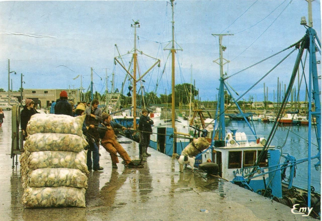 CARTE GRANDCAMP MAISY Retour de Pêche à la coquille Saint Jacques EUR 2 ...