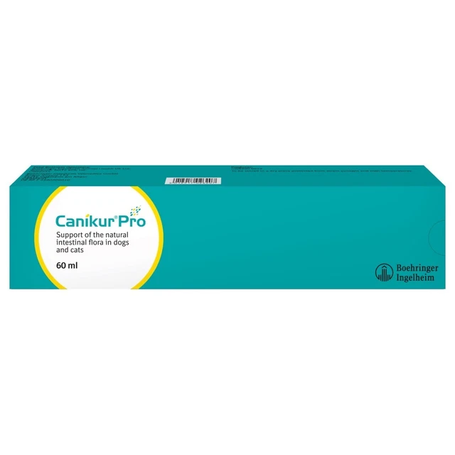 60ML PRO PASTE Canikur Dog Oil Probiotic Cat Good Bacteria Protein £30. ...