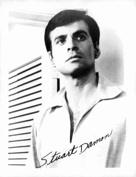 STUART DAMON CIRCA 1960s OLD MOVIE PHOTO $9.00 - PicClick AU