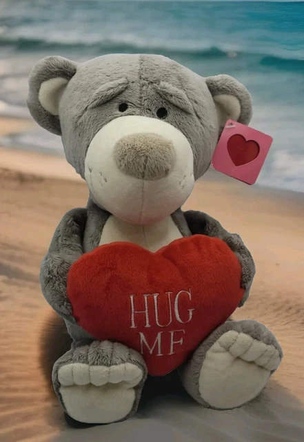 HUG ME TEDDY Bear With Red Heart Cuddly 12" Plush Soft Toy Teddy + tags ...