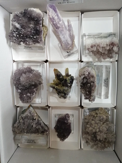 VERSCHIEDENE AMETHYSTE MIT Sockel von hell bis dunkel aus der Chala ...