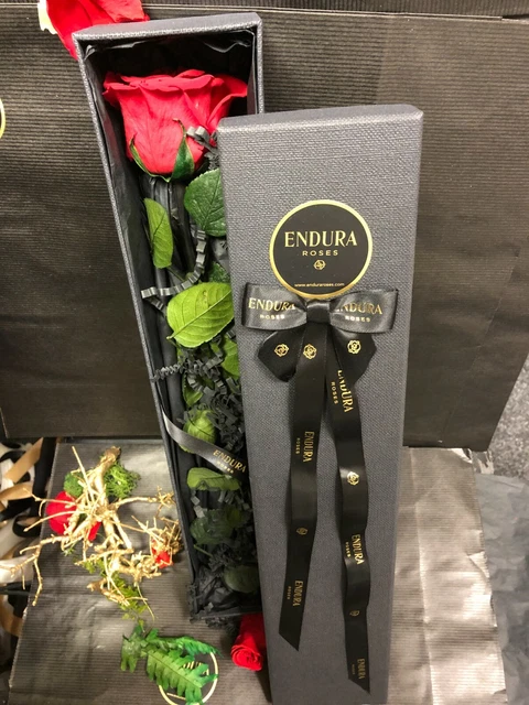 50% OFF SIGNATURE Rose By Endura Roses 100% Natural Preserved Last Upto ...