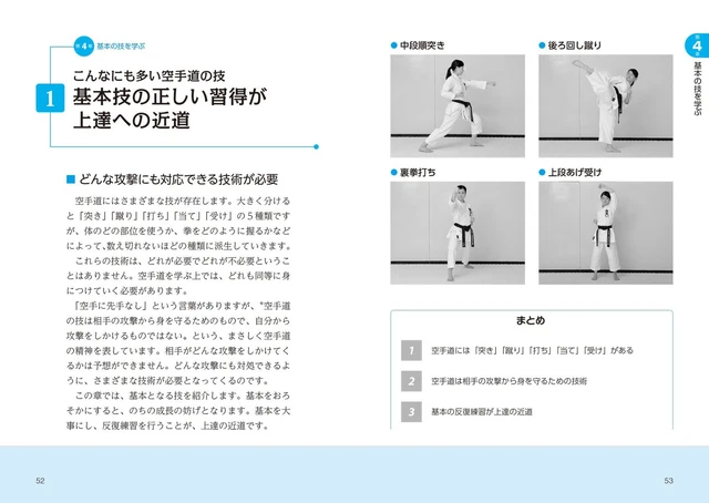 DÉBUTANT KARATÉ : Acquire la Puissance À Visage Danger Renforcer Votre ...