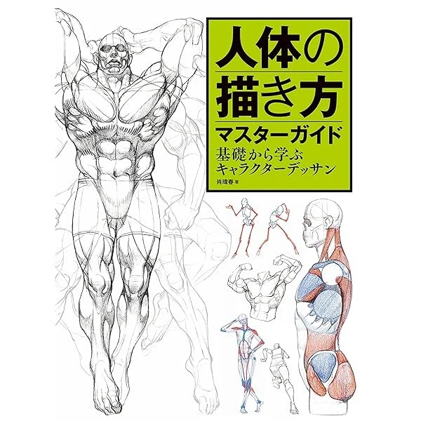 HOW TO DRAW a Human Figure: Character Sketching from the Basics (Art ...