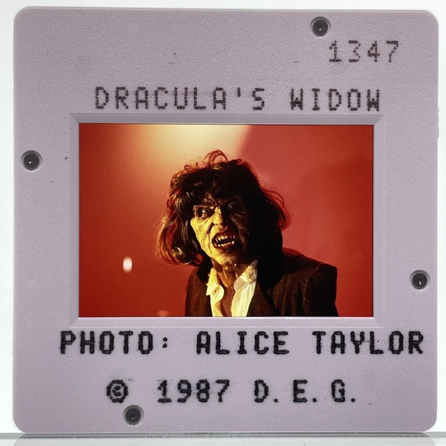 35MM SLIDE DRACULA'S Widow 80s Horror Movie Publicity Sylvia Kristel ...