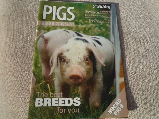 BREEDING PIGS BOOKLET The Best Breeds £2.79 - PicClick UK