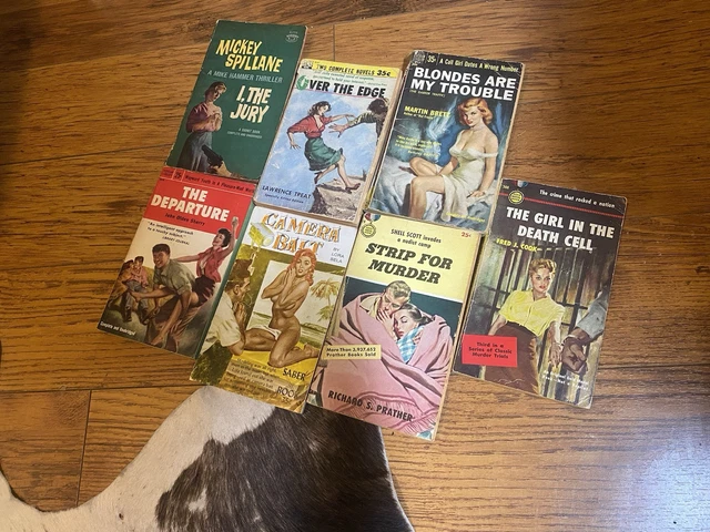 VINTAGE PULP PAPERBACK Lot of 7 Crime, Sleaze, Noir, Delinquent Fiction ...