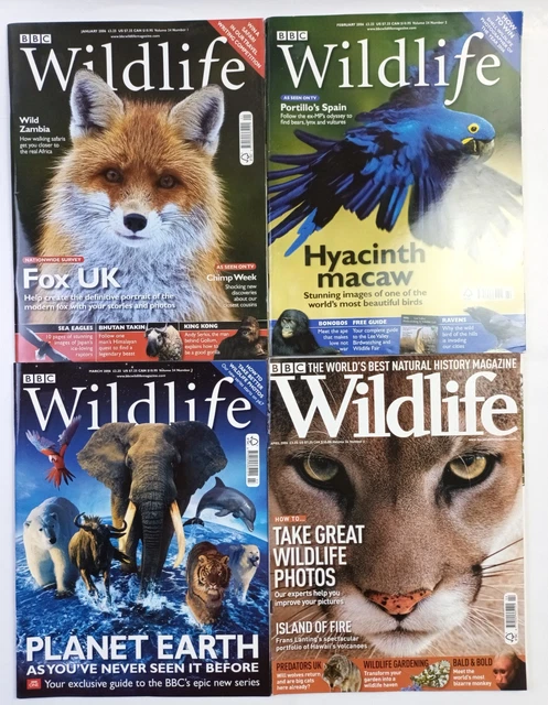 4 BBC WILDLIFE Magazine Bundle. January February March April 2006. Very ...