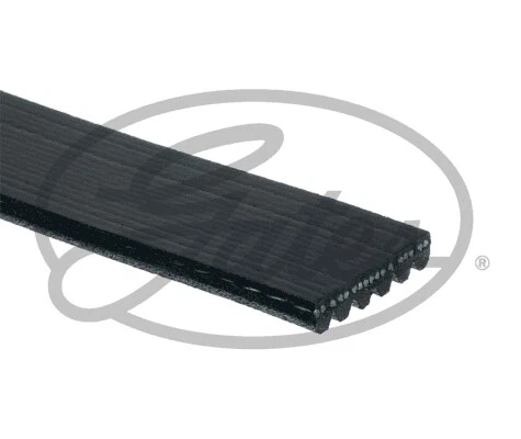 6 RIB MULTI V Drive Belt fits LEXUS Gates 9091602755 Genuine Quality ...