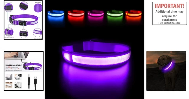 3 MODES LED Rechargeable Dog Collar – Purple, Waterproof, Secure for ...