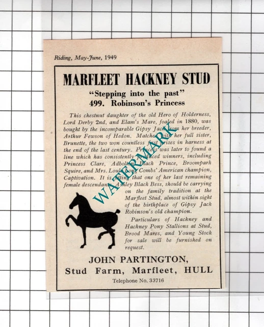 MARFLEET HACKNEY STUD Hull ROBINSON'S PRINCESS Horse Fewson Hedon ...
