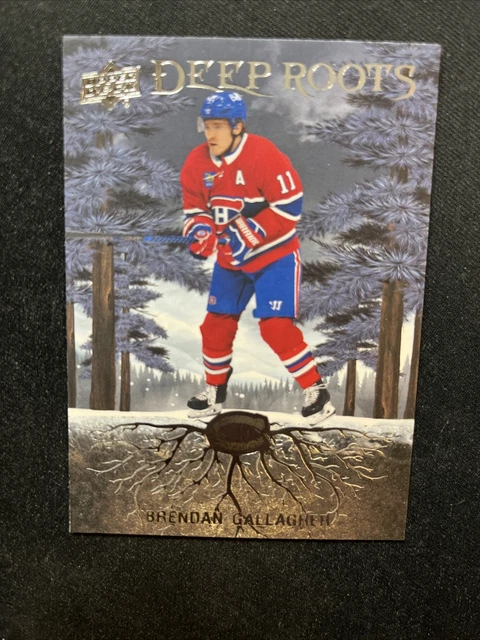 23-24 UD SEREIS 2 Hockey Deep Roots DR-25 Brandon Gallagher EUR 2,06 ...