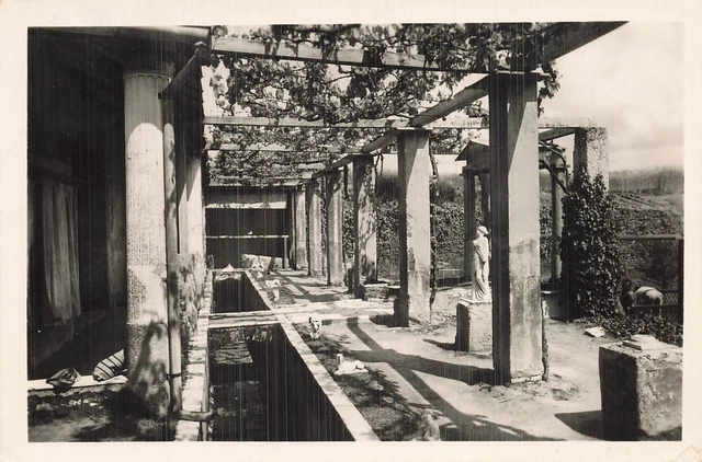 ITALIE POMPEI MAISON De Loreius Tiburtinus EUR 3,25 - PicClick FR