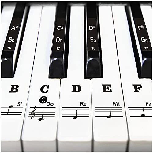 PIANO KEYBOARD STICKERS for 37/49/54/61/88 Key,Removable Keyboard Black ...