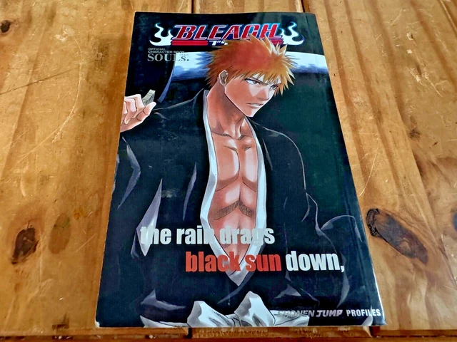 BLEACH: OFFICIAL CHARACTER Book Soul's Manga Book Comics English EUR 14 ...