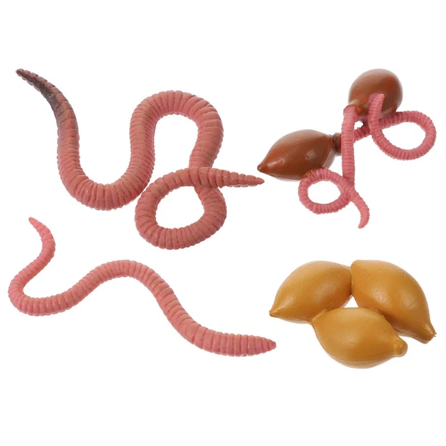 EARTHWORMS FIGURINE CRAFTS Earthworm Life Cycle Child Centipede Toy ...