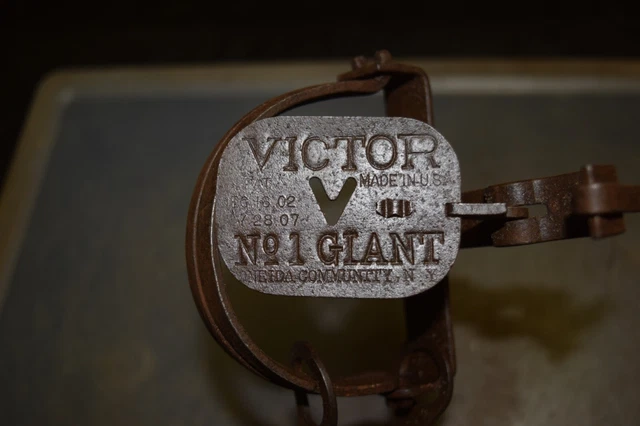 VINTAGE TRAP VICTOR No. 1 Giant Oneida Community Newhouse $6.76 - PicClick