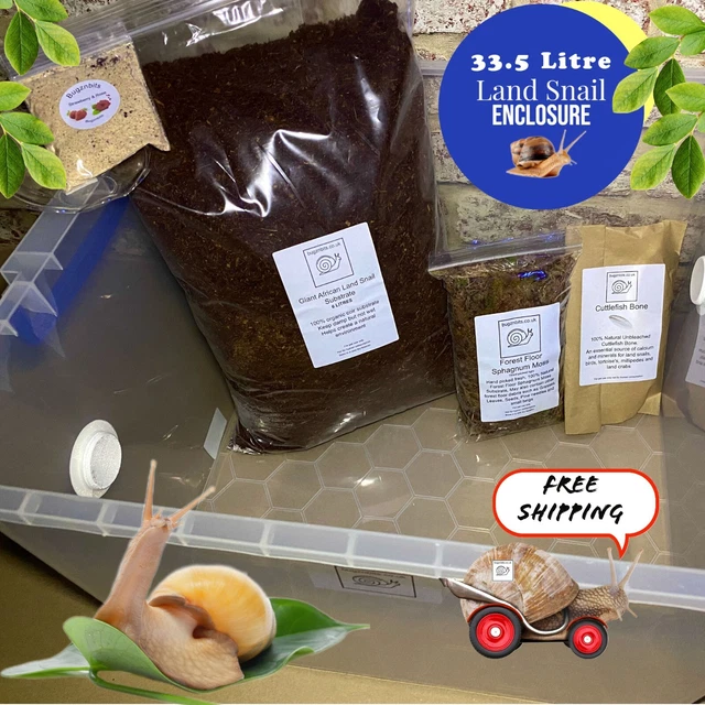 GIANT AFRICAN LAND snail tank enclosure set up, 33.5L Basic Kit with ...