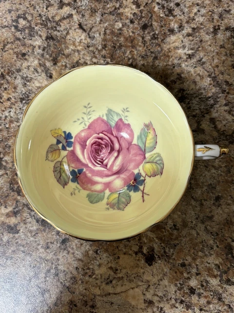 VINTAGE PARAGON TEACUP Floating Rose, Pink Cabbage Rose, England $129. ...
