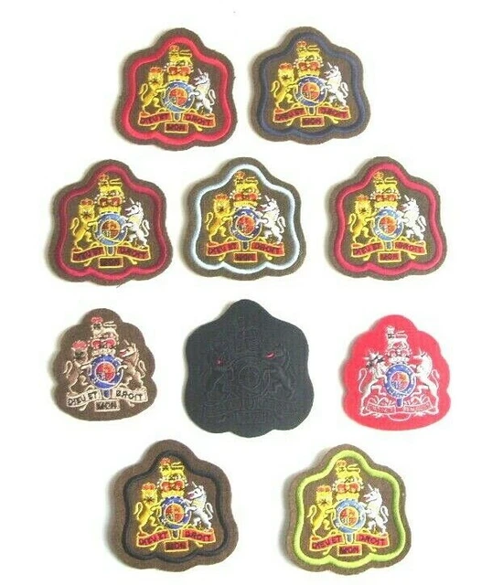 WO1 RSM FAD No2 DRESS RANK BADGE REME RE RAMC RADC RAPTC AAC RMP QARANC ...