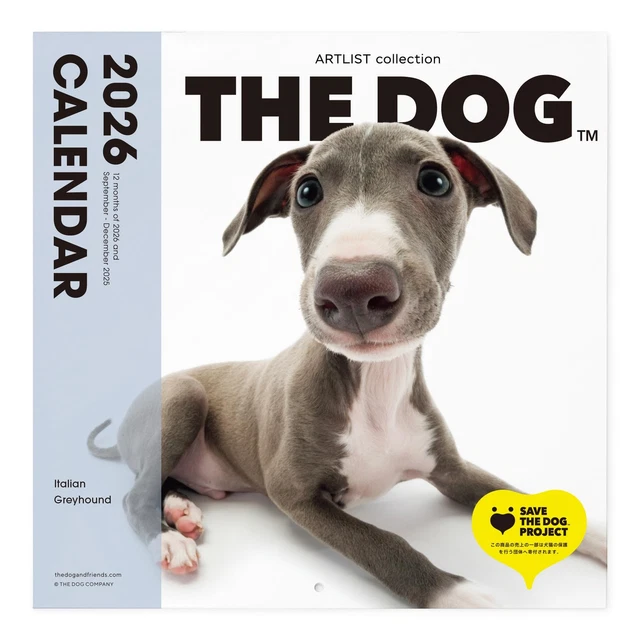 2026 CALENDAR THE DOG Wall Type Large Italian Greyhound $80.18 ...