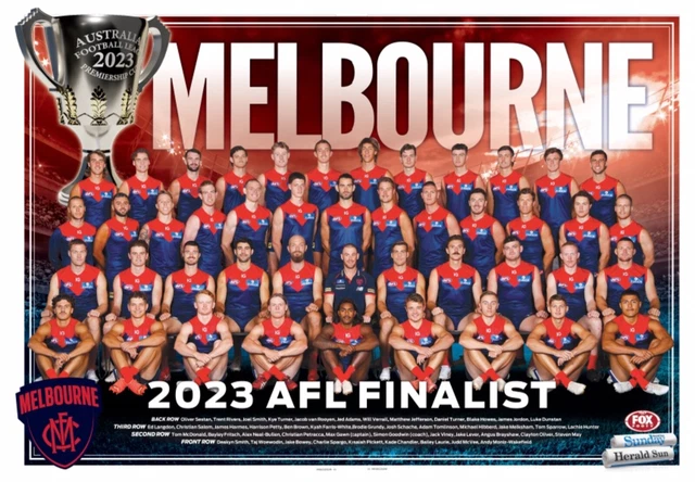 MELBOURNE DEMONS 2023 Team Poster, Afl Football, Pies,Blues, Cats 2 ...