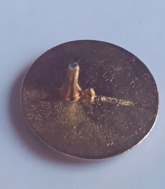 SPILLA PINS DISTINTIVO Stemma Simbolo Badge Logo Crest Club Us Lecce ...