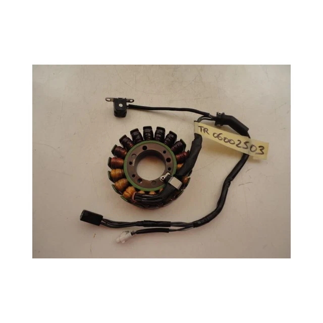 STATOR GÉNÉRATEUR STATOR Triumph Street Triple 675 06 12 EUR 127,72 ...