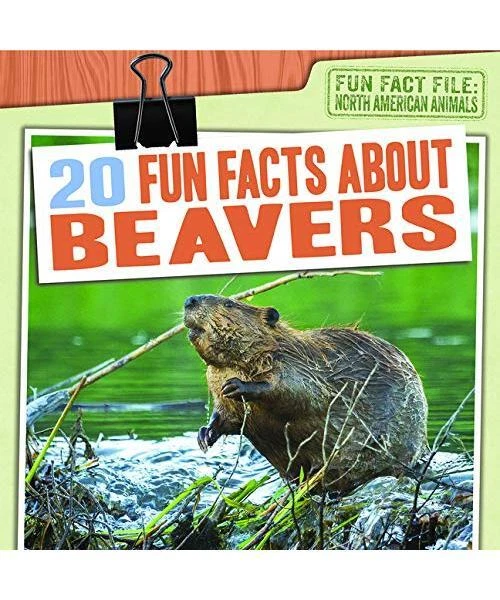 20 FUN FACTS About Beavers (Fun Fact File: North American Animals ...