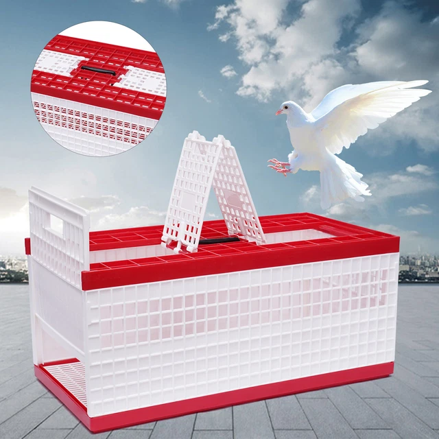 RACING PIGEON CARRIER Box Bird Training Basket With 2 Side Doors 2 Top ...