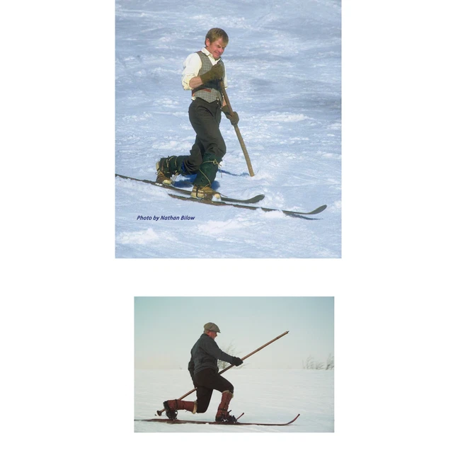 ANCIEN LONG BATON De Telemark Lurk Ski Nordique Stick Alpenstock EUR 60 ...