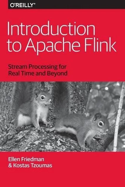 Introduction À Apache Flink Traitement De Flux En Temps Réel Et Au Delà Par Kost Eur 3355
