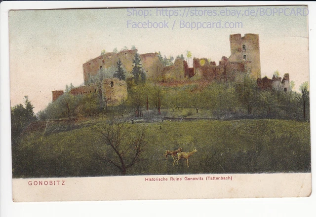 SLOWENIEN , GONOBITZ , SLOVENSKE KONJICE , ca1905 EUR 10,00 - PicClick DE