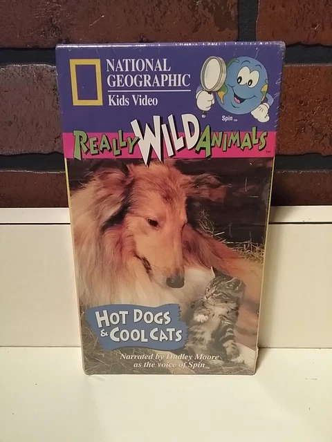 VHS NATIONAL GEOGRAPHIC Kids Really Wild Animals "Hot Dogs & Cool Cats ...