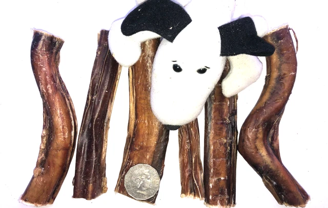 LARGE BULLY STICKS 10 Dog Treats Chews. Australian Healthy Natural Bulk ...