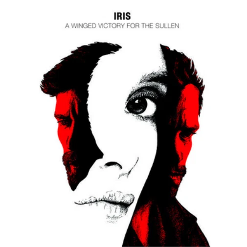 A WINGED VICTORY for the Sullen Iris (CD) Album EUR 22,86 - PicClick FR