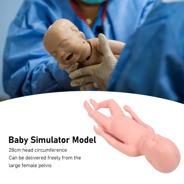 SIMULATORE NEONATO MODELLO in plastica educativo alta simulazione a ...