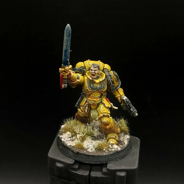PRO PAINTED WARHAMMER 40k Primaris captain imperial fists space marines ...