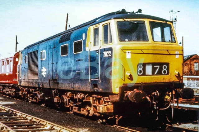 UK RAILWAY PHOTOGRAPH Class 35 Hymek Locomotive D7022. RM35-16 £1.70 ...