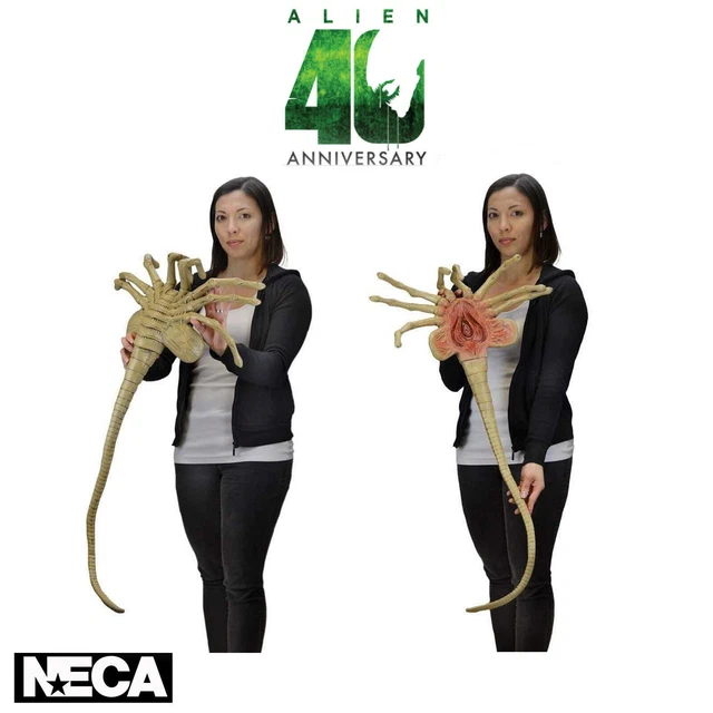 Neca Alien Life Size Facehugger Foam Prop Replica Official Uk Scifi Aliens Avp £82 95 Picclick Uk
