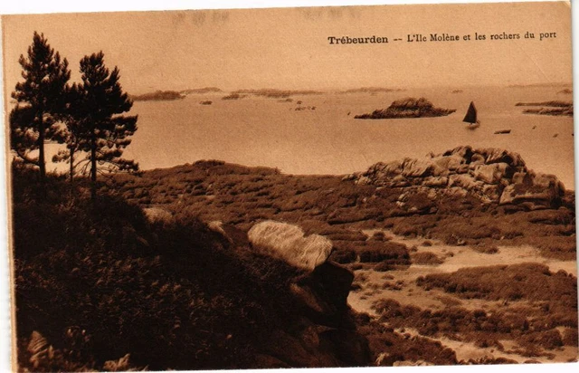 CPA TRÉBEURDEN - L'Ile Moléne et les rochers du port (243127) EUR 7,99 ...