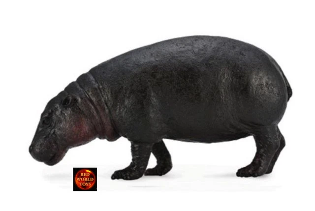 PYGMY HIPPO HIPPOPOTAMUS Wildlife Toy Model Figure by CollectA 88686 ...