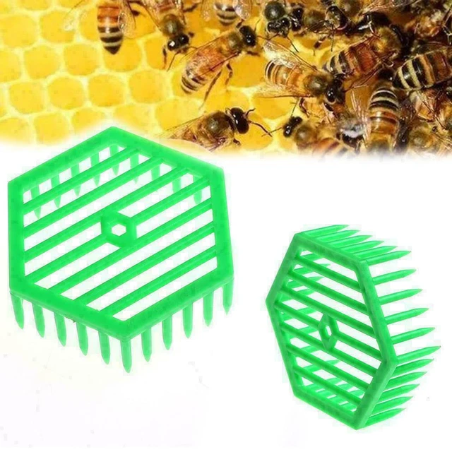 BEEKEEPING PLASTIC QUEEN Bee Cage Marker Clip Bee Collector Beekeeping ...