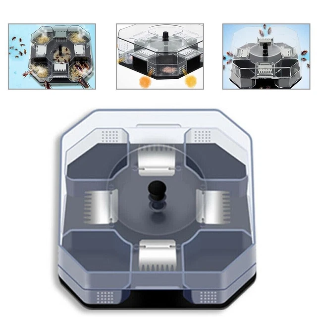 BOÎTE AVANCÉE ATTRAPE-INSECTES cafard lézard cafard réutilisable et non ...