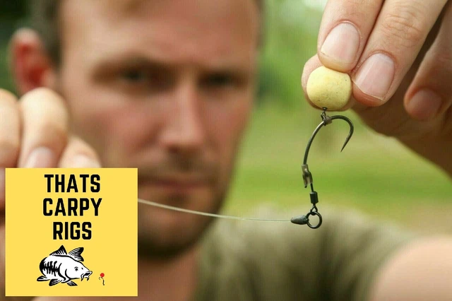 RONNIE RIG SPINNER rig 3 or 5 / Darrell Peck style / Ready Made Carp ...