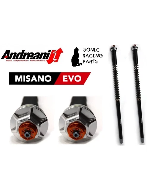 110/HD30E CARTOUCHE ANDREANI Misano Evo Harley Davidson V-Rod Night Rod ...