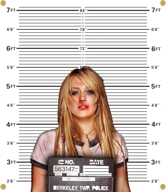 MUGSHOT PHOTO BACKDROP Police Lineup Height Charts Background ...