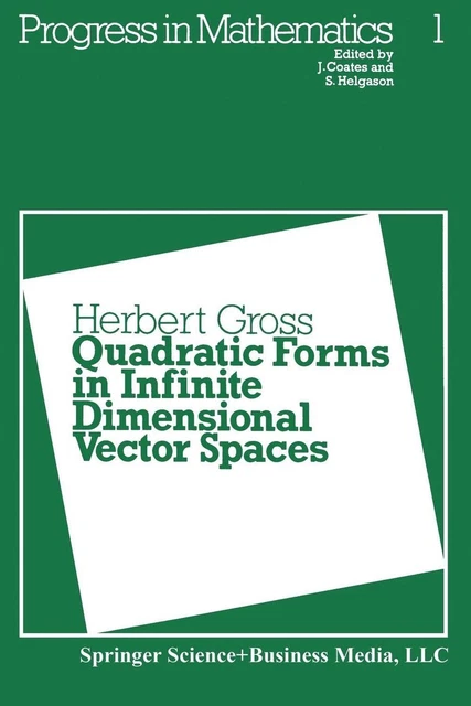 Quadratic Forms In Infinite Dimensional Vector Spaces By H Gross English Pape £62 99