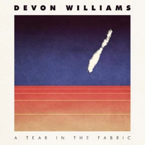 DEVON WILLIAMS A Tear in the Fabric (CD) Album EUR 14,03 - PicClick FR